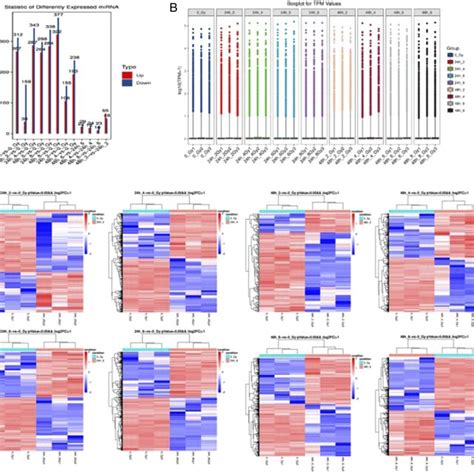 Mirna Sequencing Screening A Differential Mirna Genes In Mice 24 H