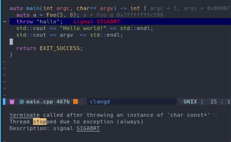 GitHub TheHamsta Nvim Dap Virtual Text