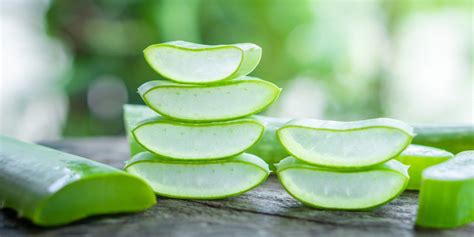 8 Benefits Of Aloe Vera For Skin According To Dermatologists