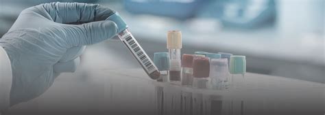 Jevs Edu Connect Online Classes Courses And Certifications