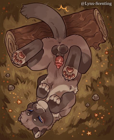 Rule 34 Anatomically Correct Anatomically Correct Balls Anatomically Correct Feral