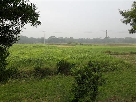 Md Hasanuzzaman On Linkedin Good Morning