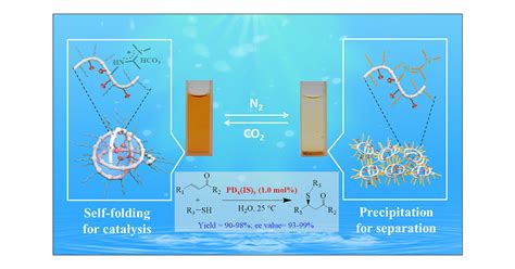 Co2 Switchable Single Chain Polymeric Nanoparticles Enable Gas