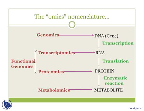 Introduction To Proteome And Proteomics Part 1 Proteomics Lecture Slides Docsity