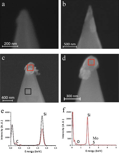 Sem Micrographs Of Afm Silicon Tips After Friction Tests Performed On A Download Scientific