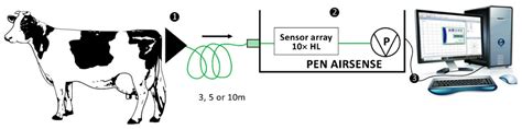 Estrus Detection In A Dairy Herd Using An Electronic Nose By Direct Sampling On The Perineal Region