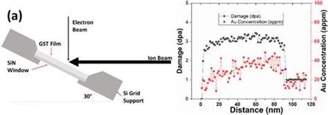 In Situ Investigation Of Ion Irradiation Induced Amorphization Of