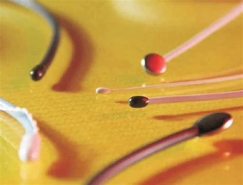 Medical Temperature Probes At Best Price In New Delhi By Saurav Medical System ID 8751575048