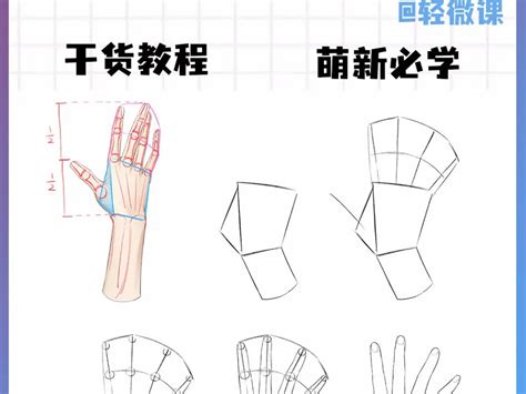 如何快速学会画手部？ 超详细画手部教程！每日讲画 站酷zcool