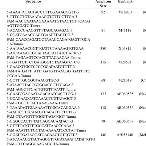 Oligonucleotide Primers And Hydrolysis Probes Used In The Real Time Pcr Download Scientific
