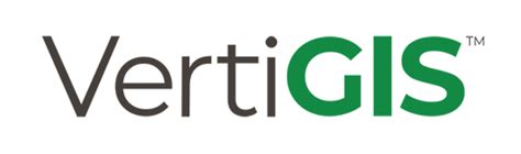 vertigis networks for arcgis utility network