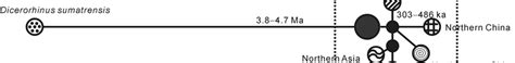 Median Joining Network Based On 1100 Bp Cyt B Sequences Calculated In Download Scientific