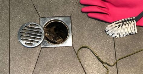 5 Easy Ways To Unclog A Basement Floor Drain Plumbing Sniper