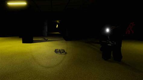 How To Beat Level 16 In Apeirophobia Pro Game Guides