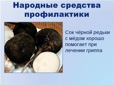 Редька зеленая: полезные свойства и противопоказания для организма человека