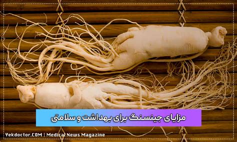 مزایای جینسنگ برای بهداشت و سلامتی مجله پزشکی یک دکتر