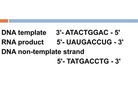 Transcription Of Dna Pptx Programming Languages Computing