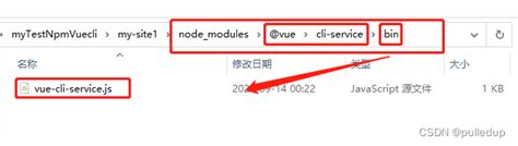 Vue执行配置选项npm Run Serve的本质 Csdn博客