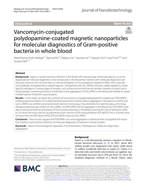 Pdf Vancomycin Conjugated Polydopamine Coated Magnetic Nanoparticles