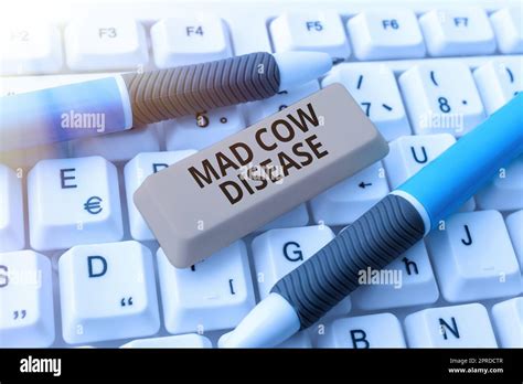 Conceptual Display Mad Cow Disease Business Approach Neurodegenerative Lethal Disease