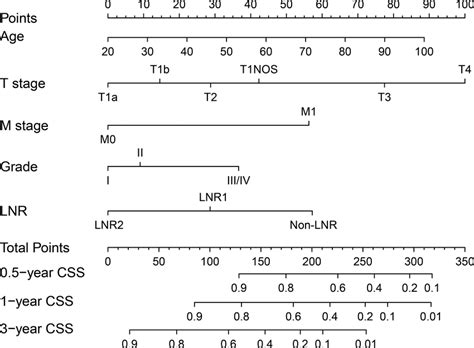 Nomogram Predicting 05‐ 1‐ And 3‐year Css For N0 Gbc Patients The