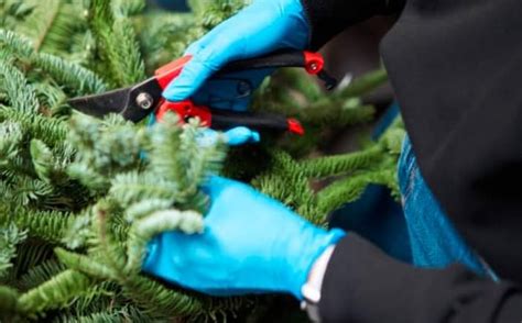 Гацуур модны үнэ өсчээ ТАС МН