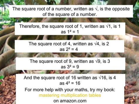 Square Numbers Square Roots Of Numbers PPT Free Download