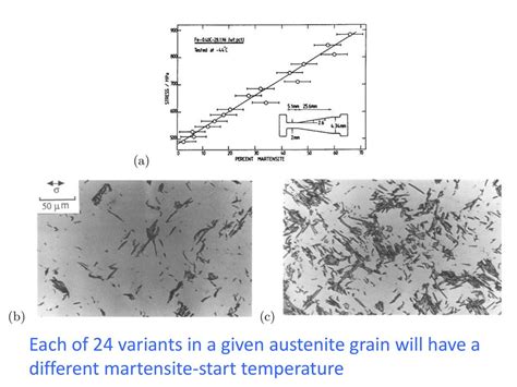 Multiple Simultaneous Martensitic Transformations Transformation Texture Intensities Ppt