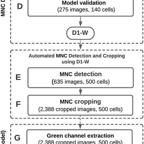 Schematic Diagram Of The Proposed Concatenated Deep Learning Approach