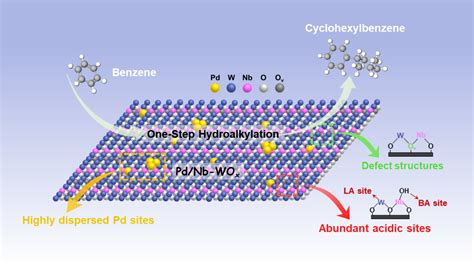 Significant Promotional Effect Of Nb Doping In Bifunctional Pd Wox Nanocatalysts On One‐step