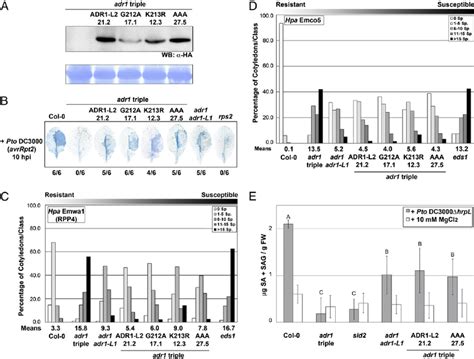 An Intact P Loop Catalytic Domain Is Dispensable For Adr1 L2 To Download Scientific Diagram