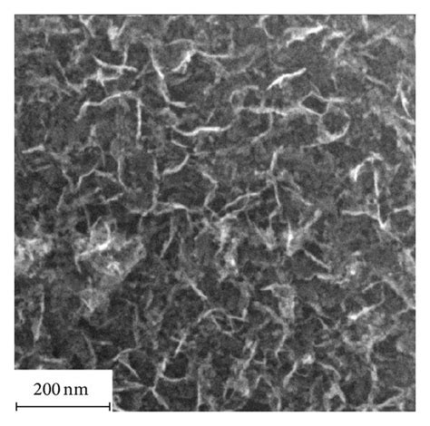 FESEM Images Of A B TiO2 And C D RGO TiO2 Composite Download Scientific Diagram