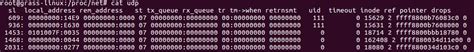在linux下用c實作netstat Implement Netstat