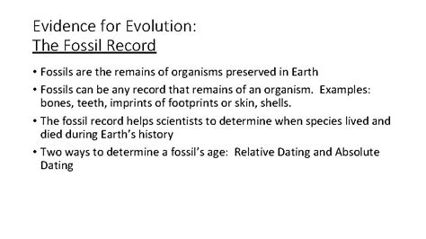Evidence For Evolution The Fossil Record Fossils Are