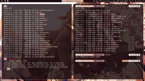 How To Set Zsh Syntax Highlighting Colors To Constant Colors Welll