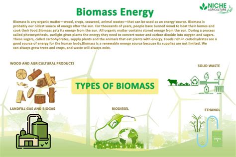 What Is Biomass Which Is Used As A Fuel At Alfred Ma Blog