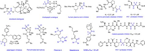 Representative Examples Of Bioactive Molecules Containing Download