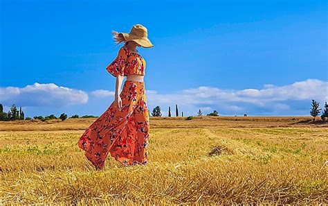 Samsung Galaxy A14 5g Full Phone Specifications And Best Price