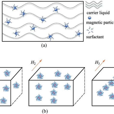 A Schematic Diagram Of The Composition Of Magnetic Fluid B Variation Download Scientific