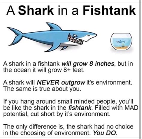 Jaindersingh Negi On Linkedin Right Mindset Helps Us Outgrow From Our