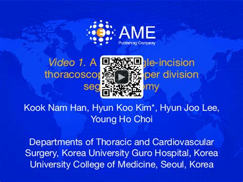A 2 Cm Single Incision Thoracoscopic Left Upper Division Segmentectomy Download Scientific