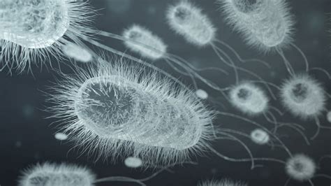 항우울제가 약물 내성 박테리아 생산 위험성 테크레시피