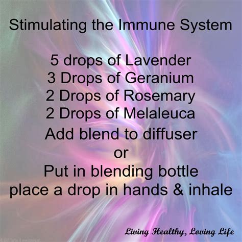 Living Healthy Loving Life Boost Your Immune System