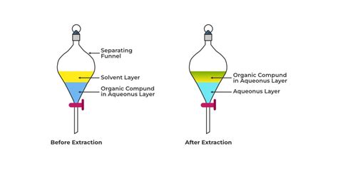 Partition Paper Chromatography Example At Lisa Bassett Blog