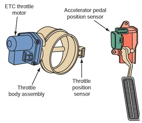 Car Wiring Throttle Position Sensor The Throttle