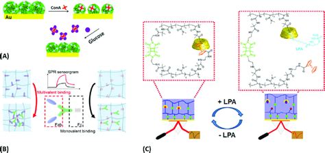Plasmonic Sensor Concepts Based On A Modulation Of Crosslinking Download Scientific Diagram