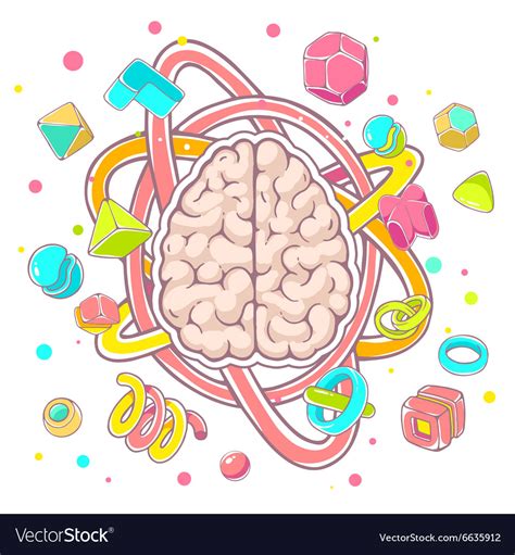 Colorful Of Model Human Brain Top View Royalty Free Vector