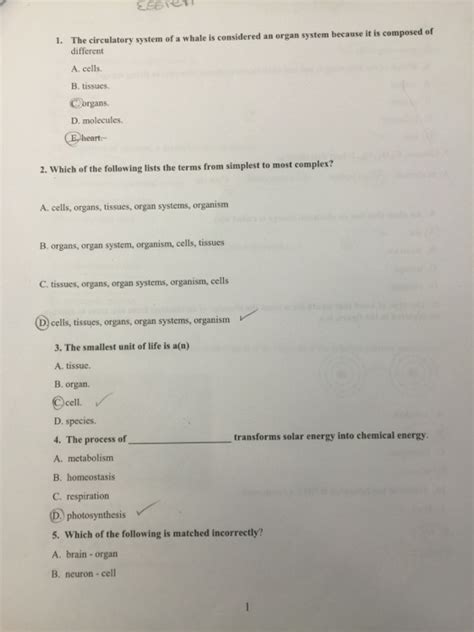 Solved The Circulatory System Of A Whale Is Considered An