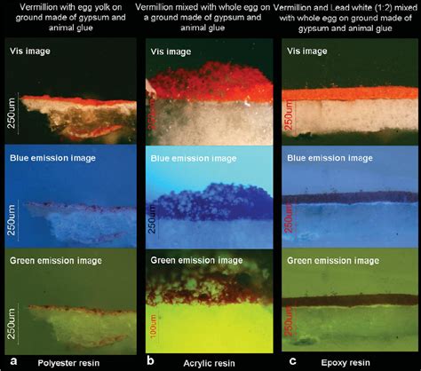 Images Of Cross Sections With Different Embedding Resins A Download Scientific Diagram