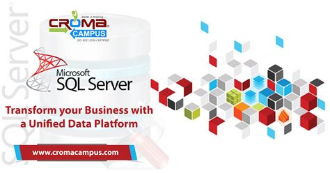 Difference Between Sql Database And Oracle Database